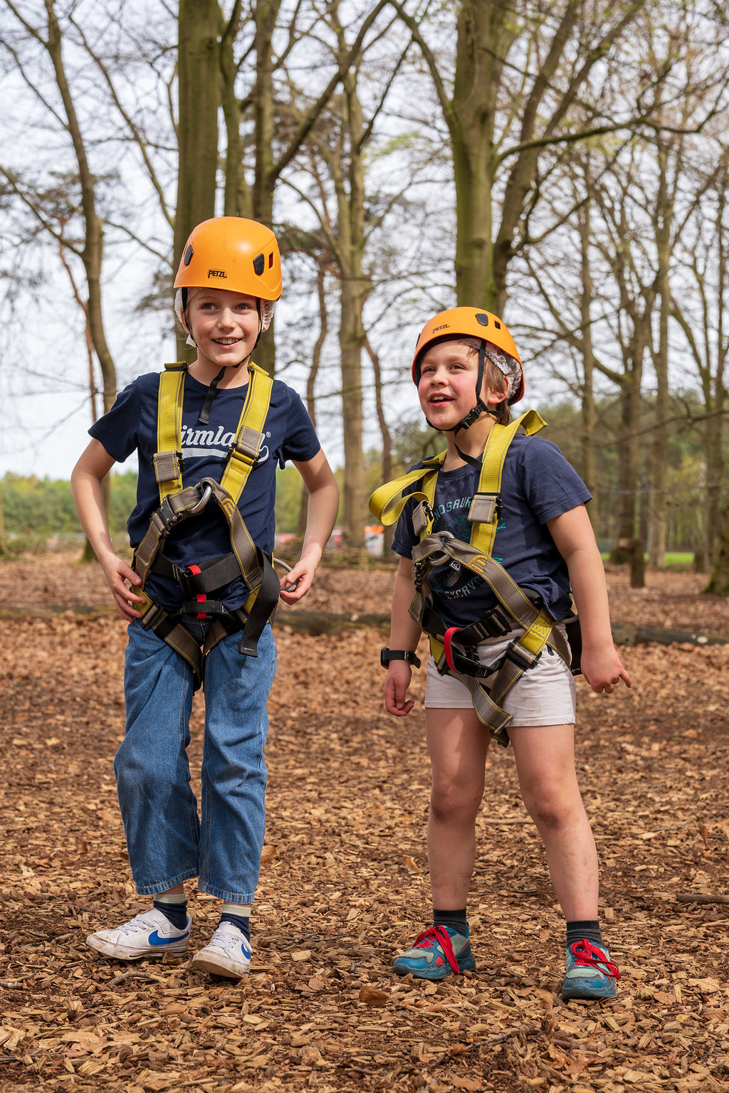 Active outings for children - Climbing & Adventure Forest